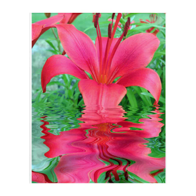 Blooming Life Acrylic Print | Zazzle