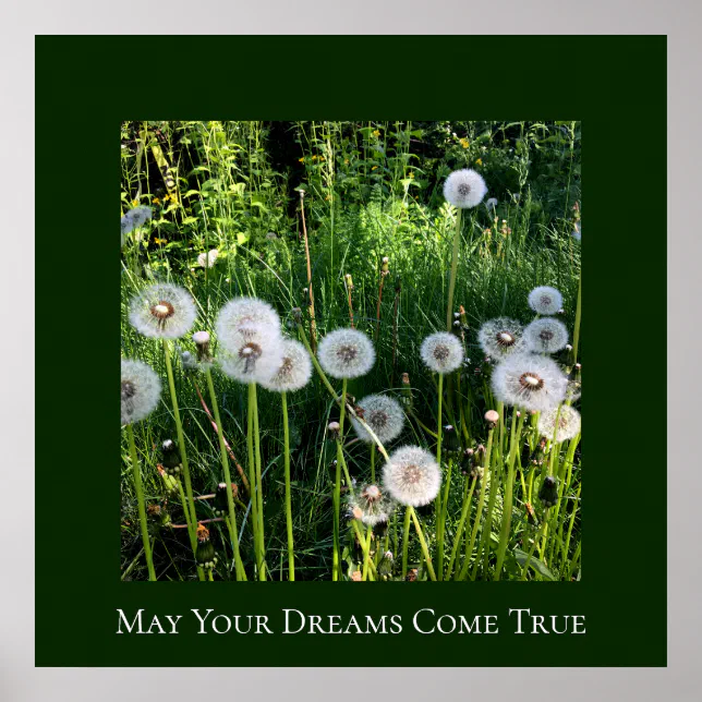 Blowing Dandelion Dreams Wish Botanical Poster | Zazzle