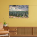 Blue Agave Poster | Zazzle
