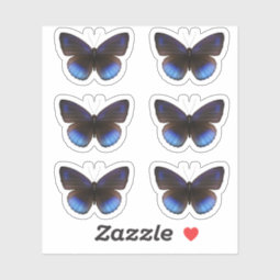 Blue and Black Butterfly Sticker pack Wedding | Zazzle