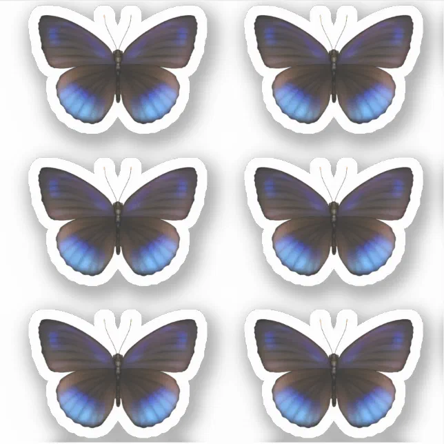 Blue and Black Butterfly Sticker pack Wedding | Zazzle