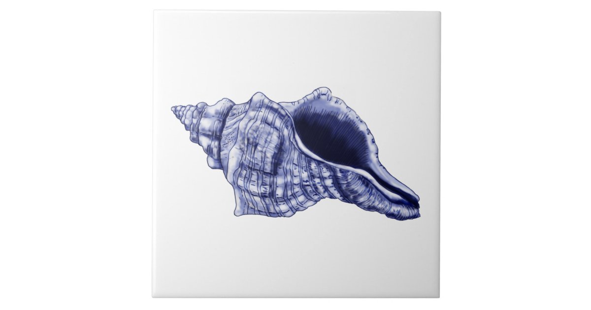 Blue and white conch shell ceramic tile | Zazzle