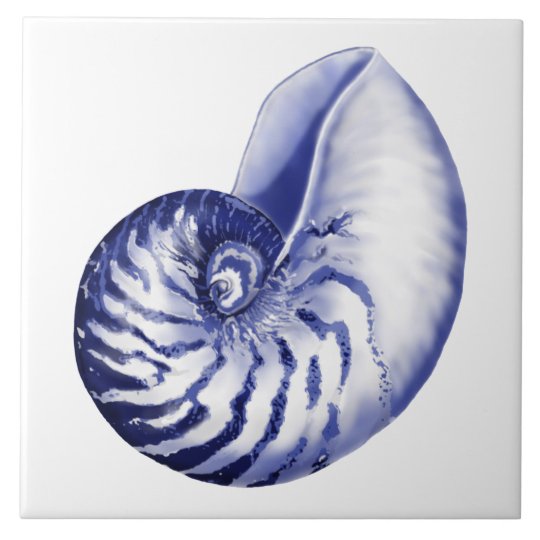 Blue and white nautilus shell ceramic tile | Zazzle.com