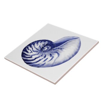 Blue and white nautilus shell ceramic tile | Zazzle