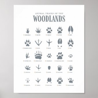 Blue Animal Tracks Woodland Nursery Decor | Zazzle