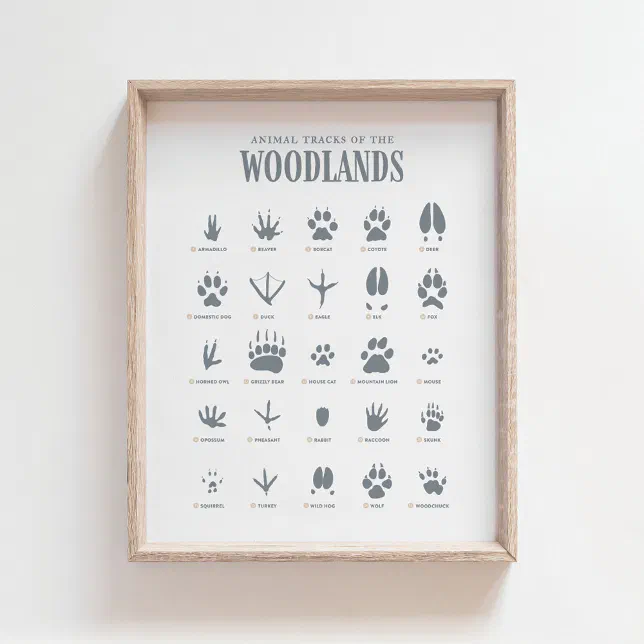 Blue Animal Tracks Woodland Nursery Decor | Zazzle