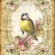 Blue Bird & Cherry Blossom Antique Paper Decoupage | Zazzle