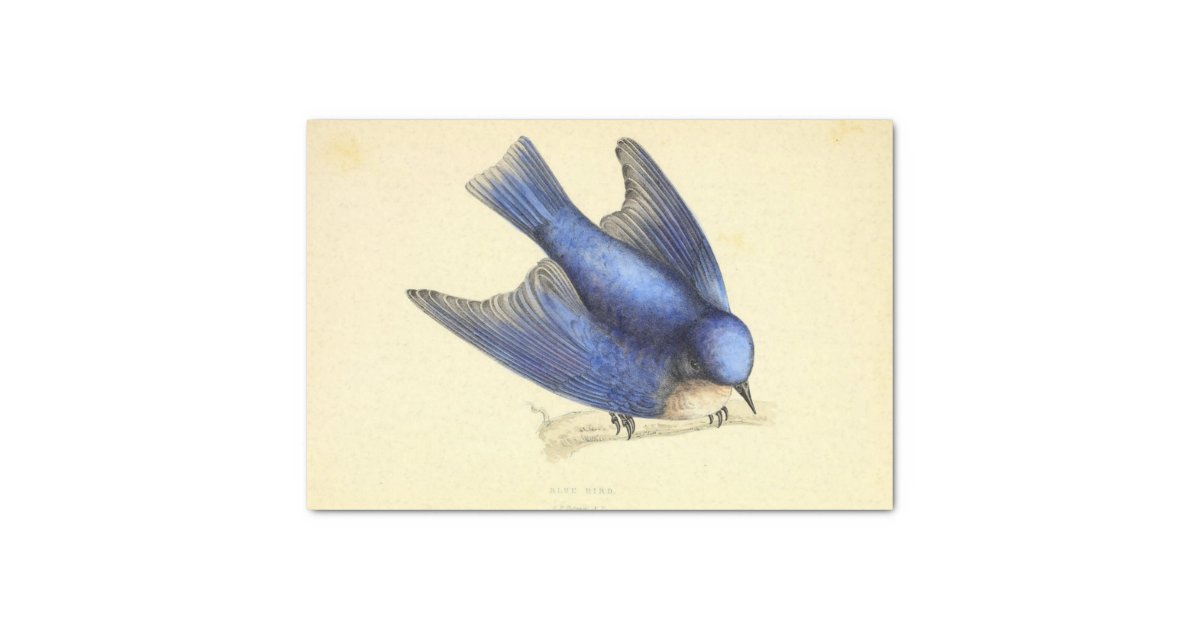 Blue Bird Ephemera Decoupage Tissue Paper | Zazzle