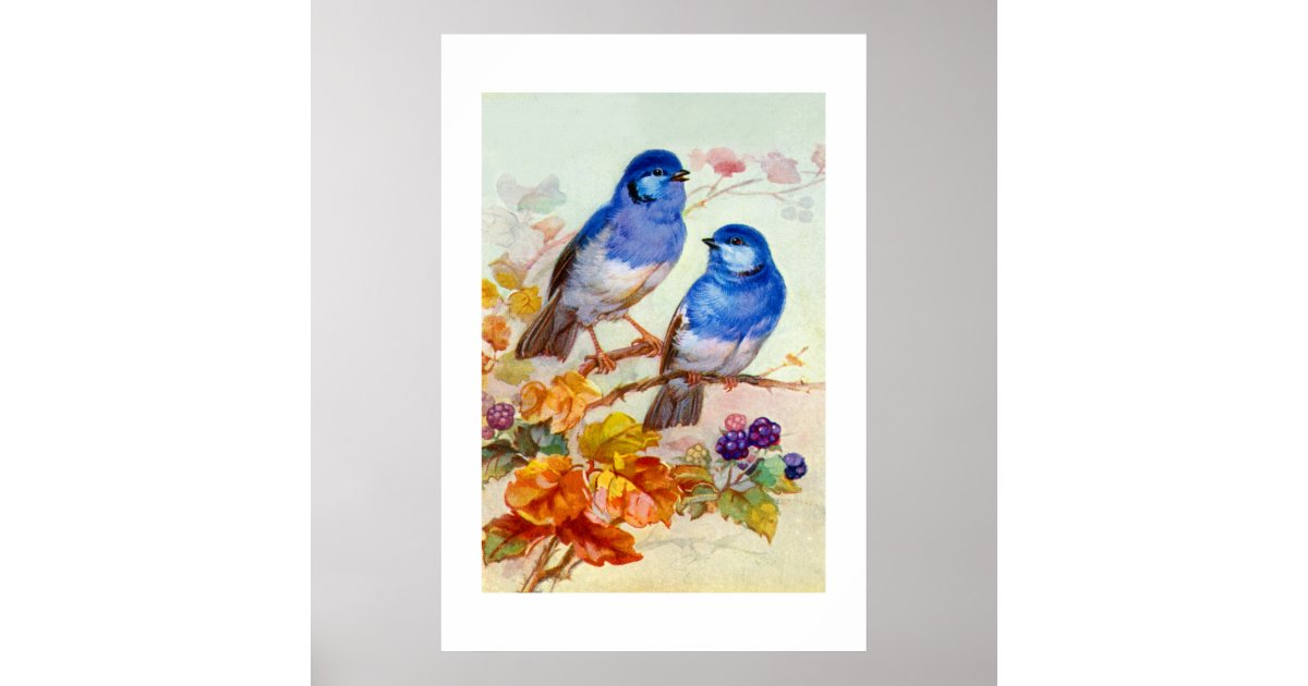 Blue birds poster | Zazzle