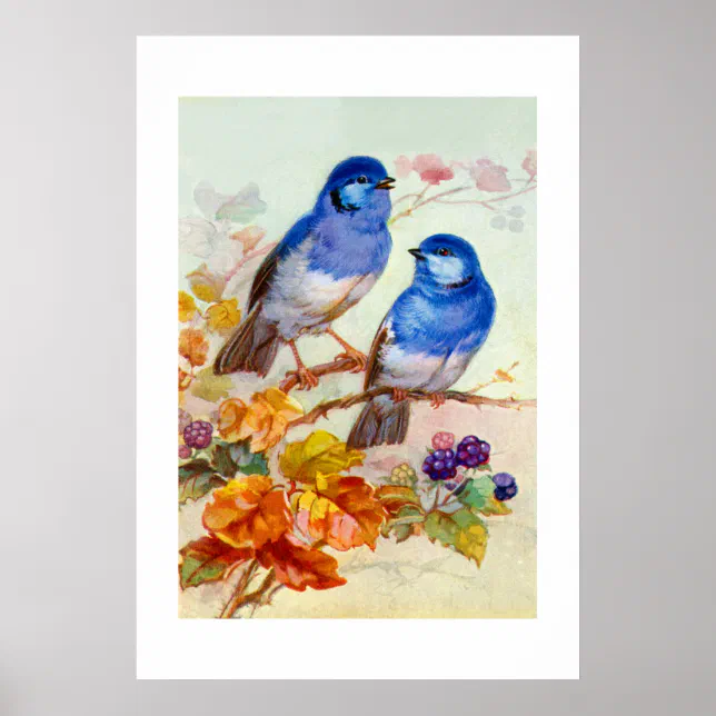 Blue birds poster | Zazzle