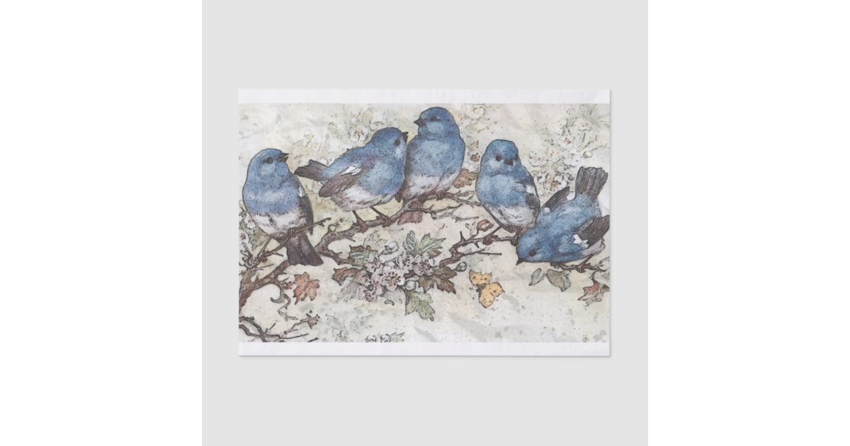 Blue Birds Tissue Paper | Zazzle