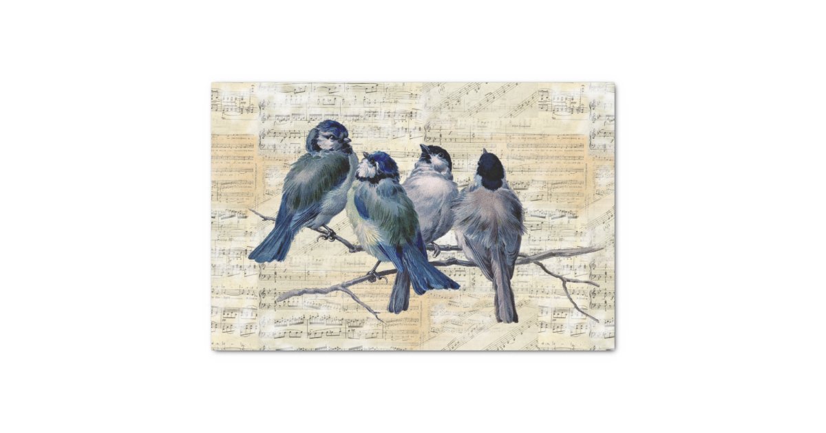 Blue Birds Vintage Sheet Music Tissue Paper | Zazzle