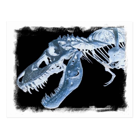 Blue & Black T-Rex X-Ray Bones Photo Postcard | Zazzle.com
