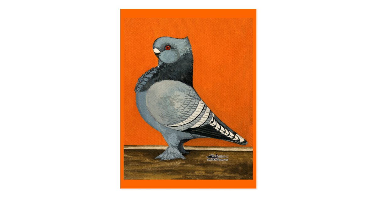 Blue Blondinette Pigeon Postcard | Zazzle.com