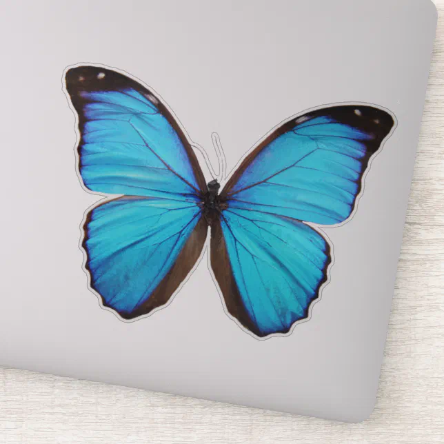 Blue Butterfly 1 Sticker | Zazzle