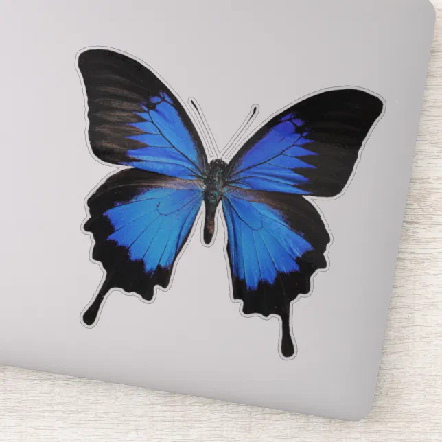 Blue Butterfly 3 Sticker | Zazzle