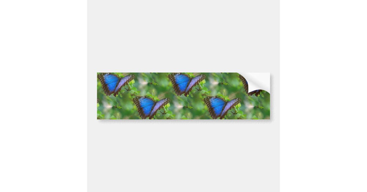 Blue Butterfly Bumper Sticker | Zazzle