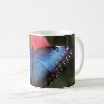 blue butterfly fluttered coffee mug | Zazzle