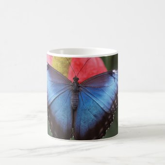 blue butterfly fluttered coffee mug | Zazzle