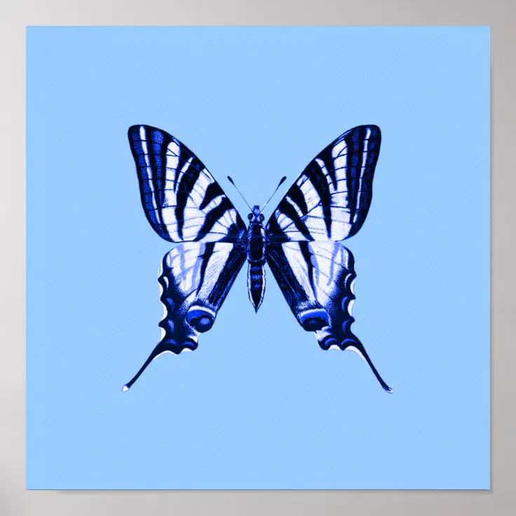 Blue Butterfly Poster | Zazzle