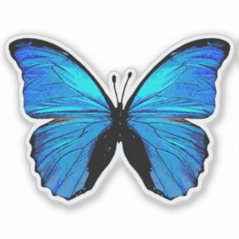 Blue butterfly sticker | Zazzle