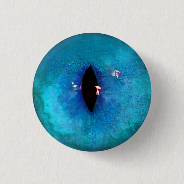 Blue Cat Eye Button | Zazzle