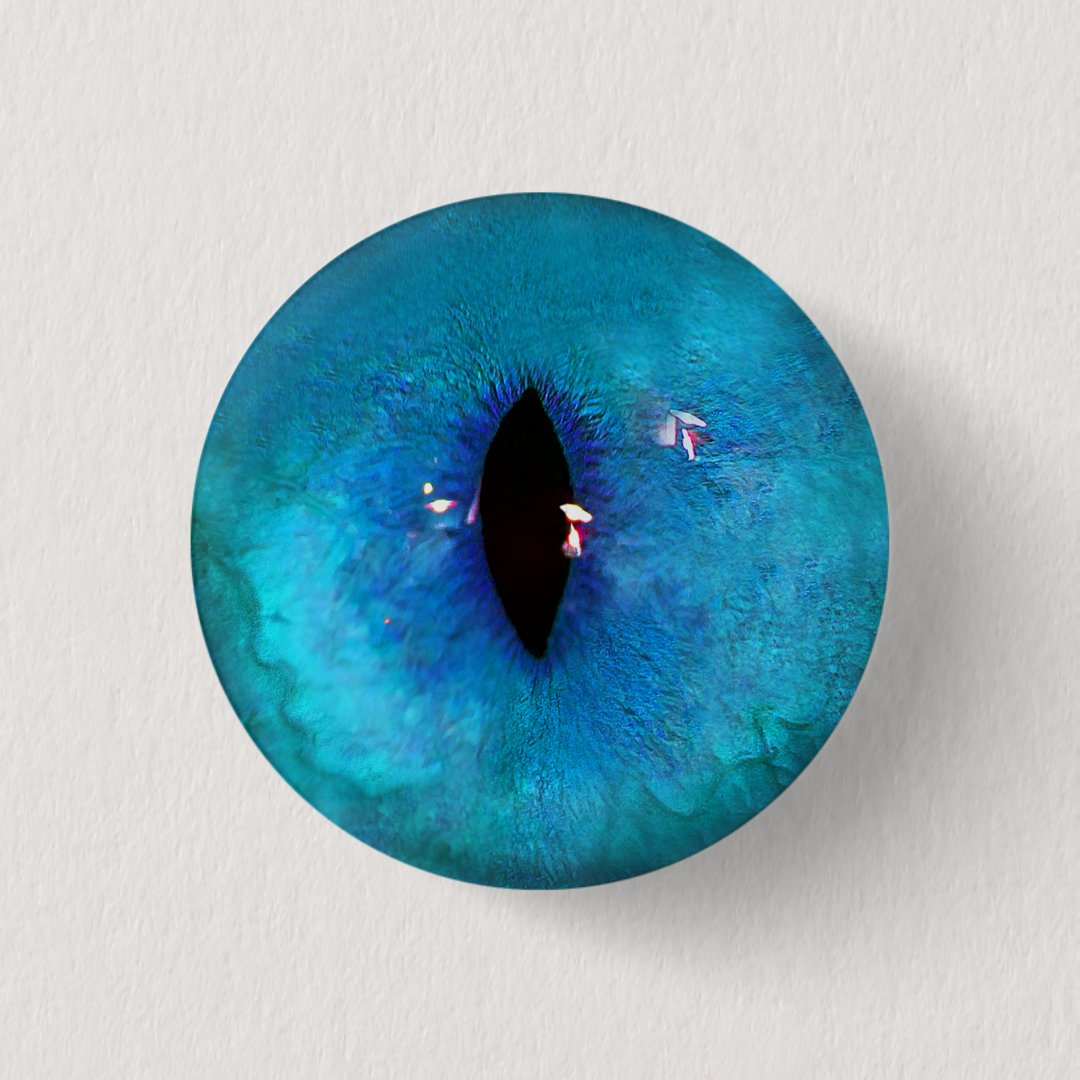 Blue Cat Eye Button | Zazzle