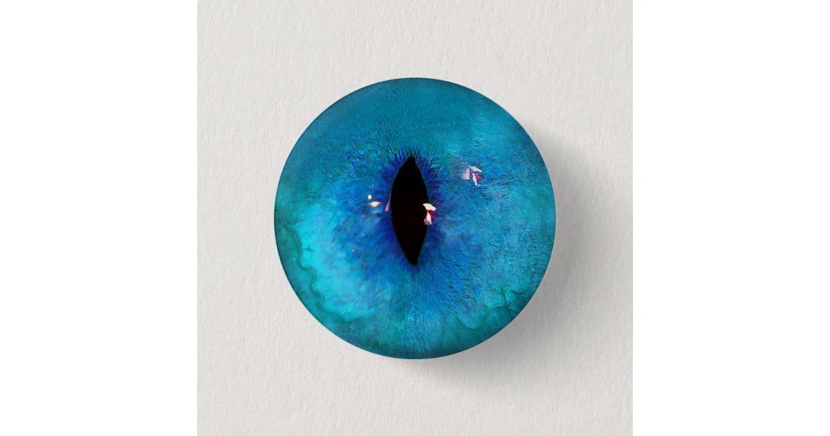 Blue Cat Eye Button | Zazzle