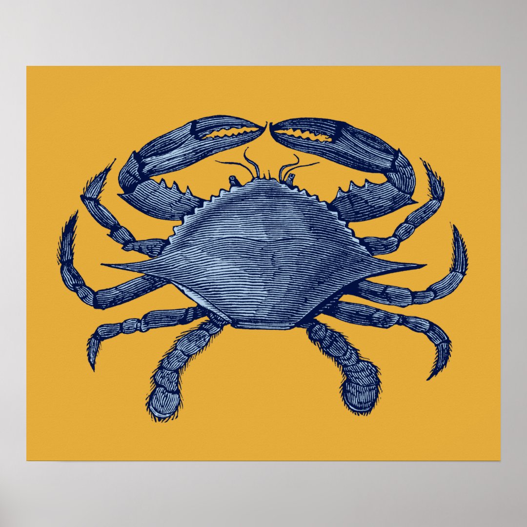 Blue crab poster | Zazzle
