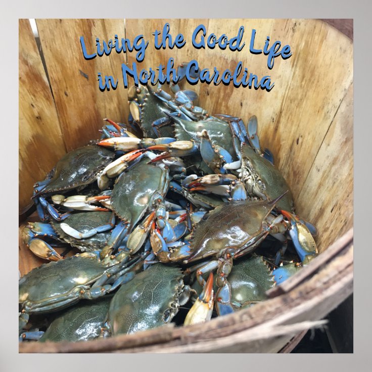 Blue Crabs - Living the Good Life in North Carolin Poster | Zazzle