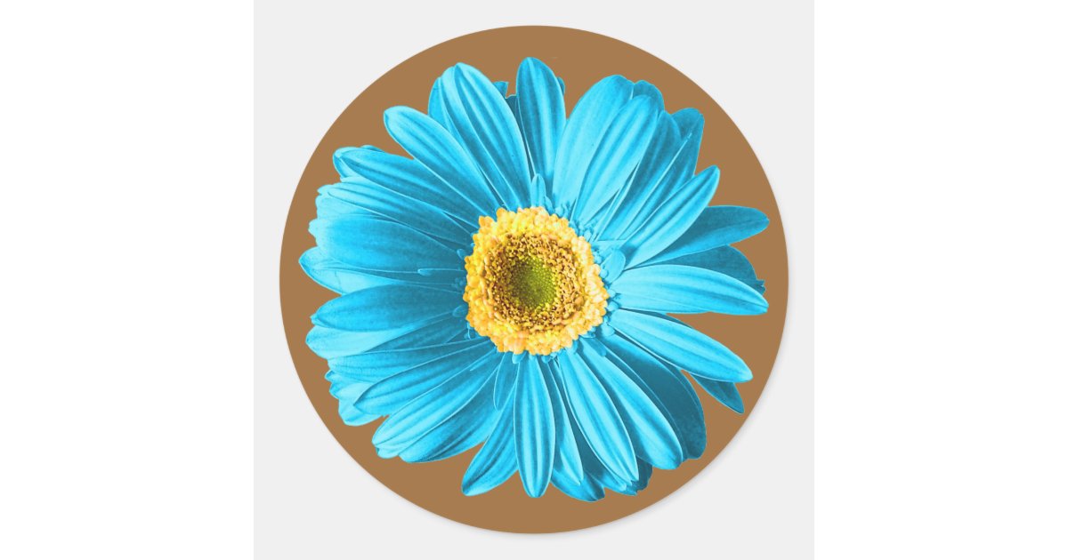 Blue Daisy Flower Classic Round Sticker | Zazzle