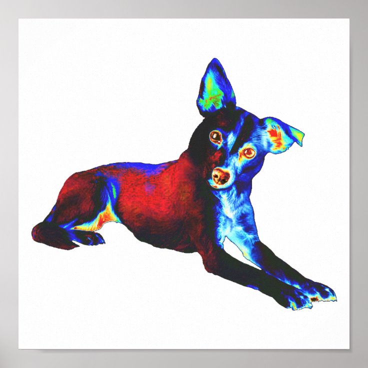 Blue Dog Poster | Zazzle