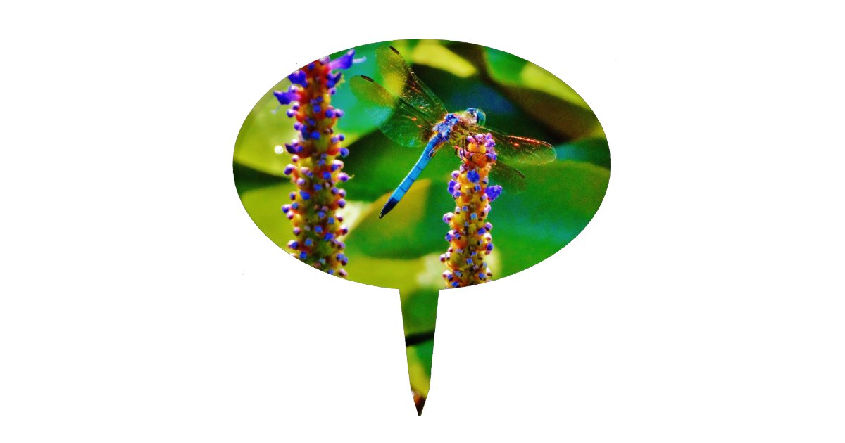 Blue Dragonfly and flowers Cake Topper | Zazzle