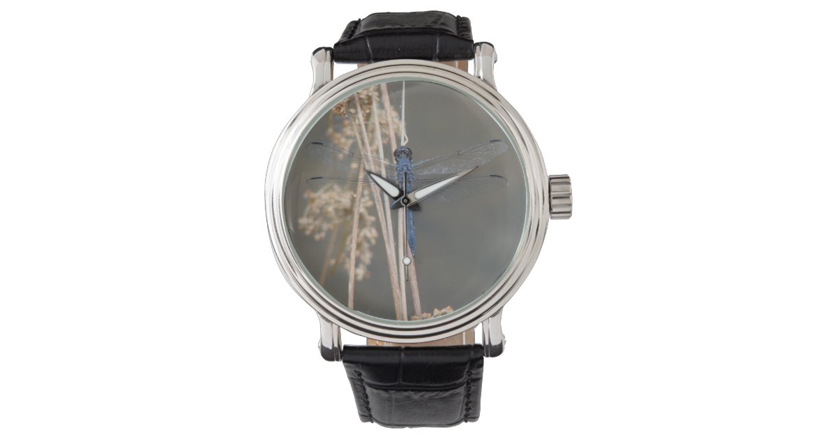 Blue dragonfly watch | Zazzle