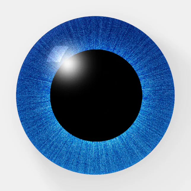 BLUE EYEBALL PAPERWEIGHT | Zazzle