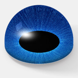 BLUE EYEBALL PAPERWEIGHT | Zazzle