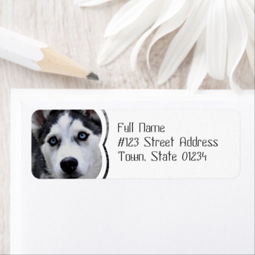 Blue Eyed Husky Mailing Labels | Zazzle