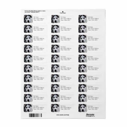Blue Eyed Husky Mailing Labels | Zazzle