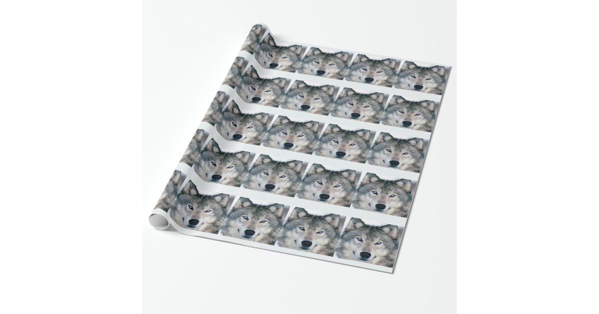 Blue Eyed Wolf Wrapping Paper | Zazzle.com