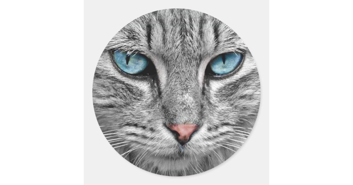 Blue eyes stickers | Zazzle