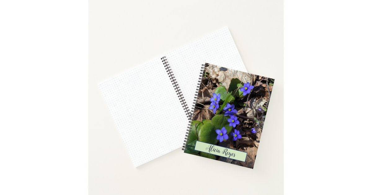 Blue flowers, hepatica notebook | Zazzle