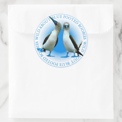 Blue Footed Boobies Birds Stickers | Zazzle