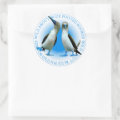 Blue Footed Boobies Birds Stickers | Zazzle