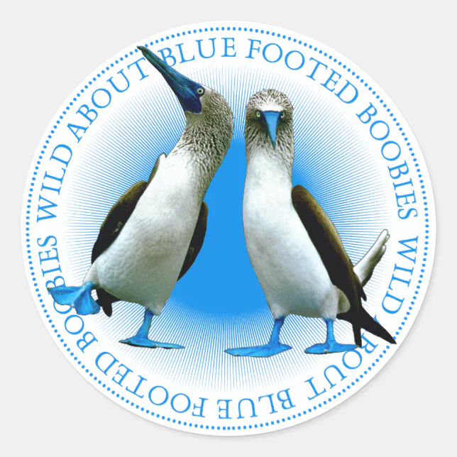 Blue Footed Boobies Classic Round Sticker | Zazzle