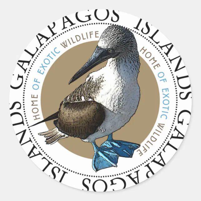 Blue Footed Booby stickers | Zazzle
