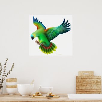 Blue Fronted Amazon Parrot Poster | Zazzle