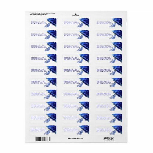 Blue Graduation Cap Address Labels | Zazzle