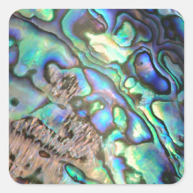 Blue green paua abalone shell detail square sticker | Zazzle