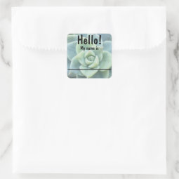 Blue Green Succulent Name tag Stickers | Zazzle