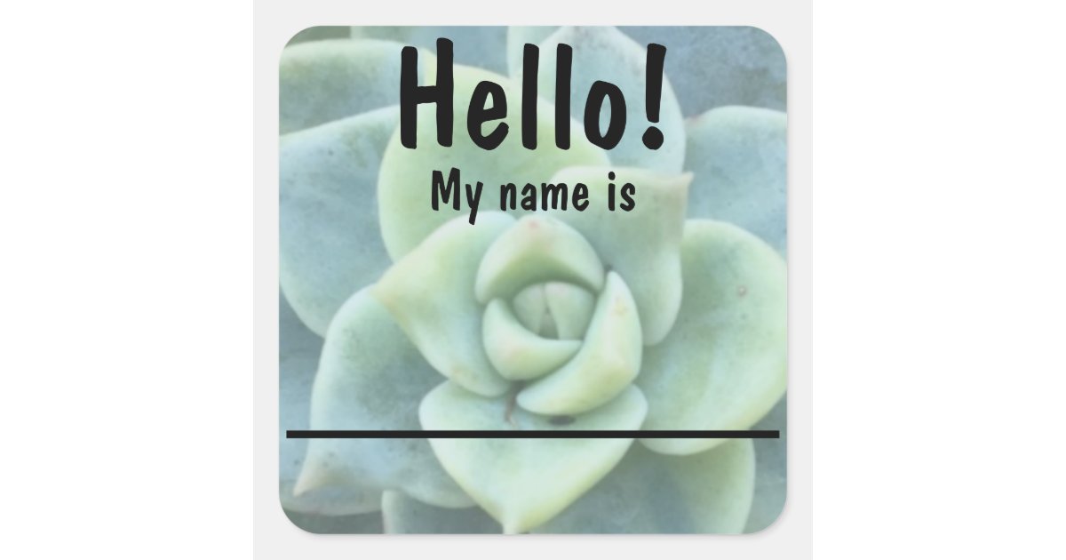 Blue Green Succulent Name tag Stickers | Zazzle